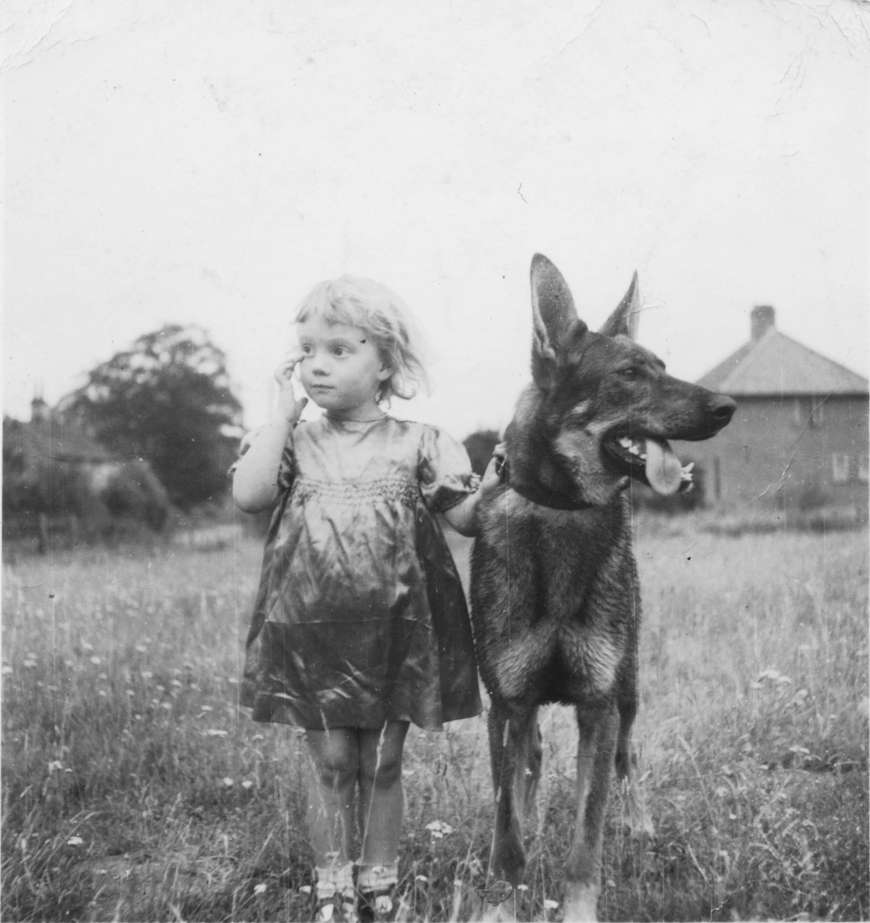 Antis: Dog of war - News